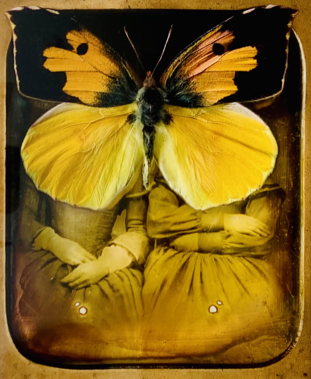 Blog - mccartgallerycollection.com